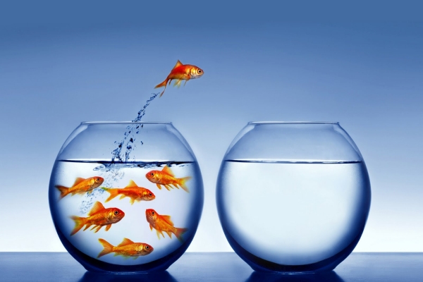 Telcos must turn big data into smart data to manage churn