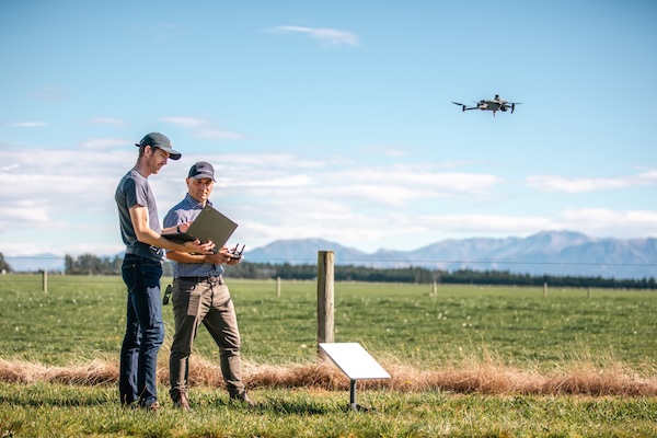 AI + drones save farmers from counting sheep - iStart leading the way ...